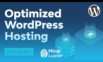 Learn Optimized WordPress Hosting What to Look For - Mind Luster
