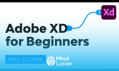 Learn Adobe XD for Beginners FREE COURSE - Mind Luster