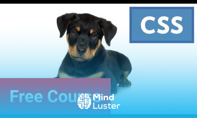 Learn Learn CSS Layout - Mind Luster