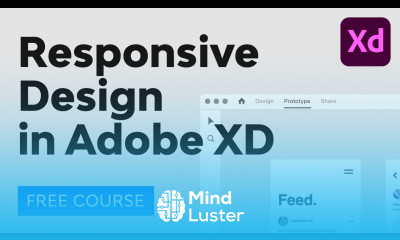 Learn Responsive Design in Adobe XD - Mind Luster
