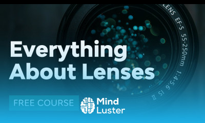 Learn What Every Photographer Should Know About Lenses - Mind Luster