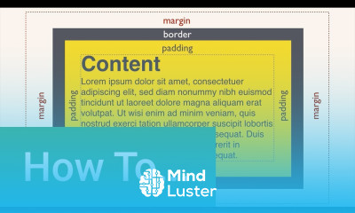 Learn Basics of the CSS Box Model - Mind Luster