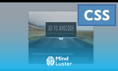 Learn Generating CSS Variables With Avocode 3 - Mind Luster