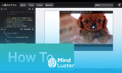Learn How to Create an “Anything” Slider With Just CSS - Mind Luster