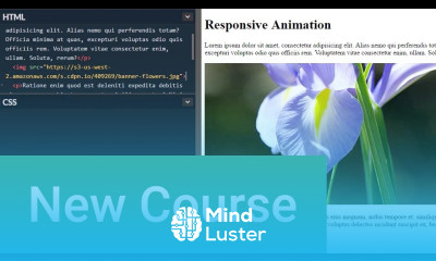 Learn Practical Web Animation Trailer - Mind Luster