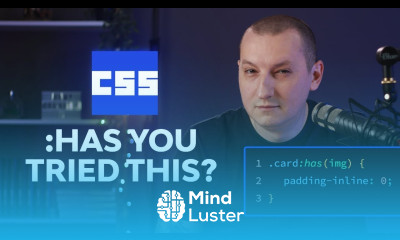Learn Finally Understanding the CSS has Selector - Mind Luster
