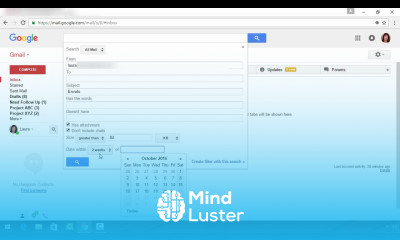 Learn How to Use the Gmail Search Utility - Mind Luster