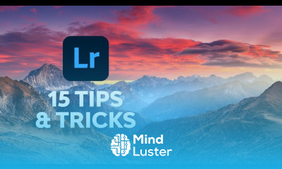 Learn 15 Tips Tricks All Adobe Lightroom Users Should Know - Mind Luster