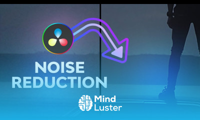 Learn DaVinci Resolve Noise Reduction Tutorial - Mind Luster