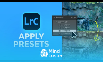 Learn How to Apply Presets to Photos Lightroom Tutorial - Mind Luster