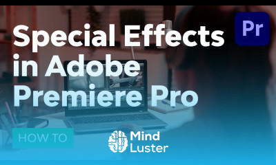 Learn Special Effects in Adobe Premiere Pro The Effects Library - Mind Luster