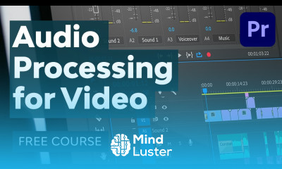 Learn Advanced Audio Processing for Video - Mind Luster