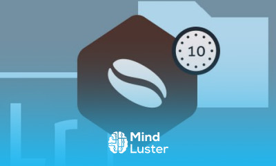Learn Organize Your Images With Adobe Lightroom Collections Introduction - Mind Luster