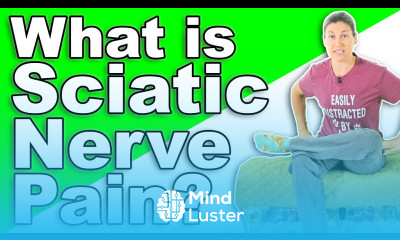 Learn Sciatic Nerve Pain Where s It Coming From PLUS Stretches ...