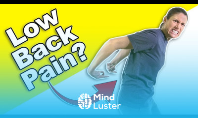 Learn Relieve Lower Back Pain With Simple Core Exercises - Mind Luster