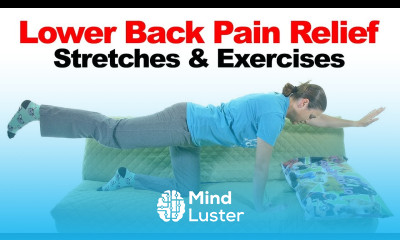 Learn Quick and EASY Lower Back Pain Relief Stretches - Mind Luster