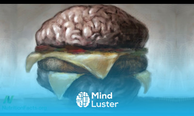 Learn Alzheimer s Disease Grain Brain or Meathead - Mind Luster