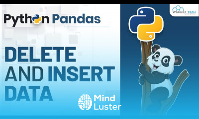 Learn How to Delete and Insert Data in Pandas for Beginners Machine Learning Tutorial - Mind Luster