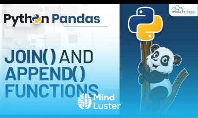 Learn How to Join and Append DataFrames Pandas Tutorial - Mind Luster
