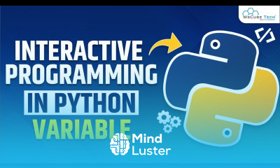 Learn Introduction to Interactive Programming in Python Variable Python in Hindi - Mind Luster