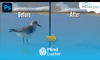 Learn How to Quickly Remove ANYTHING from a Photo in Photoshop Adobe ...