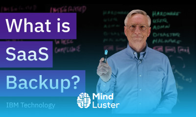 Learn What is SaaS Backup - Mind Luster