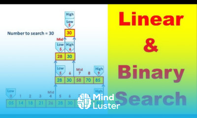 Learn Linear and Binary Search in Java - Mind Luster