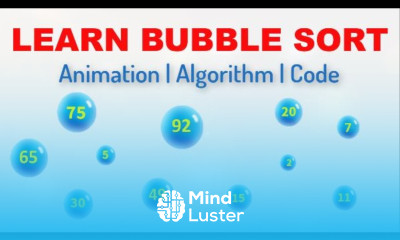 Learn Bubble Sort Animation Algorithm Code - Mind Luster