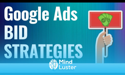 Learn Google Ads Bid Strategies Explained - Mind Luster
