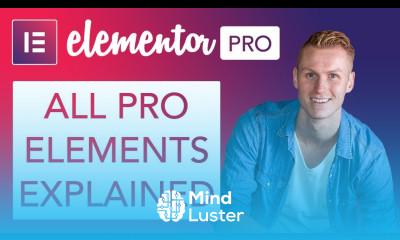 Learn Elementor Pro All The Elements Explained - Mind Luster