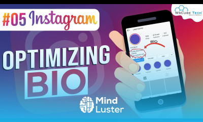 Learn Tips to Optimize Instagram Bio Instagram Growth WsCube Tech ...