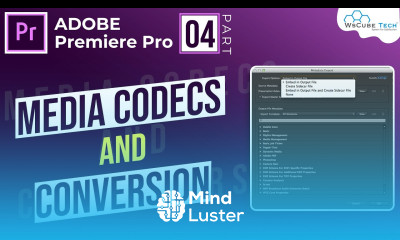 Learn Video Formats Codecs Containers Explained In Hindi Formats Supported By Premiere Pro ...
