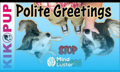 Learn Polite Greetings STOP Jumping - Mind Luster