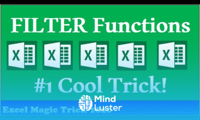 Learn Excel FILTER Function to Extract Records Based on Items in a List Excel Magic Trick 1820 ...