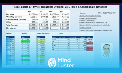 Learn Excel Basics 17 Style Formatting By Hand Cell Table Conditional Formatting - Mind Luster