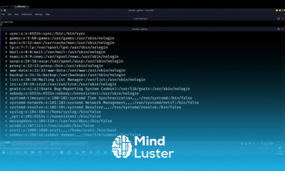 Learn Demonstrating Web Application Vulnerabilities Cyberseclabs Shock - Mind Luster
