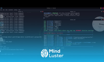 Learn Demonstrationg Buffer Overflow and ASLR Protection P4 CTF Walkthrough - Mind Luster