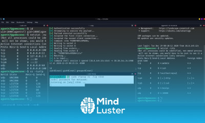 Learn Demonstrating SQL Injection and SSH tunnels TryHackMe OSCP Pathway GameZone - Mind Luster