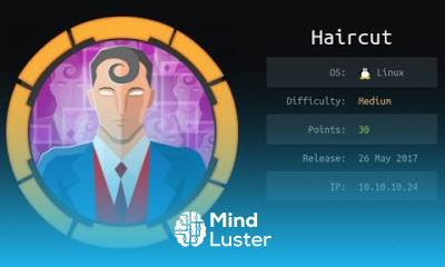 Learn Pentesting Linux Screen GNU Tool CTF Walkthrough - Mind Luster