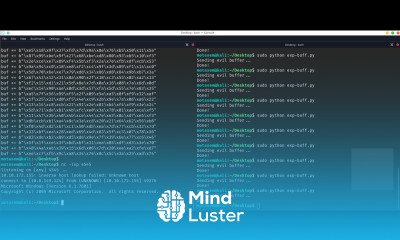 Learn Practicing Buffer OverFlow P8 TryHackMe Solving All Tasks - Mind Luster
