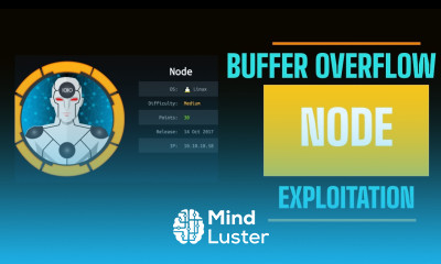 Learn Exploiting Node js and Buffer OverFlow using RET2GOT P13 CTF Walkthrough - Mind Luster