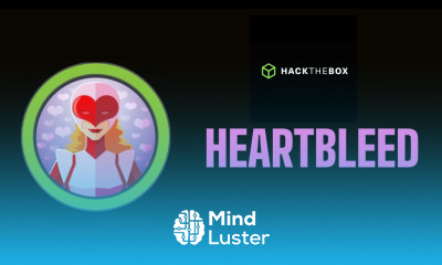 Learn HeartBleed Vulnerability and Tmux Exploitation CTF Walkthrough - Mind Luster