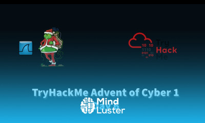 Learn Analyzing DNS Data Exfiltration with Wireshark TryHackMe Advent of Cyber 1 Day 6 - Mind Luster