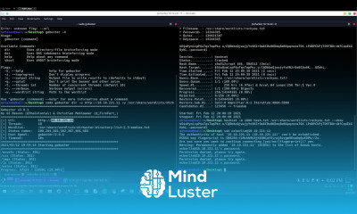 Learn Local File Inclusion in Node js TryHackMe Advent of Cyber 1 Day 15 - Mind Luster