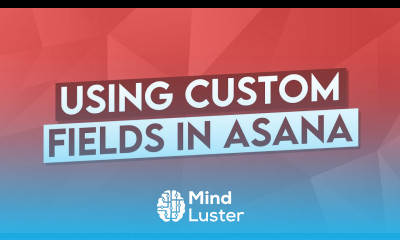 Learn How to Use Asana Custom Fields - Mind Luster