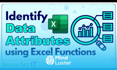 Learn Identifying Data Attributes using Excel Functions - Mind Luster