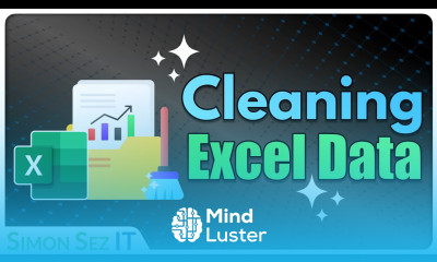 Learn How to Clean Excel Data - Mind Luster