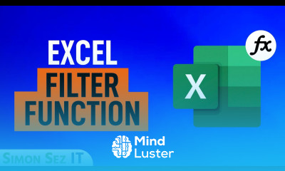 Learn Using the FILTER Function in Microsoft Excel 2021 365 OR Operator - Mind Luster