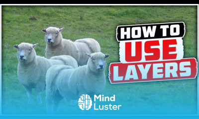 Learn Using Layers in Photoshop How to Use Layers in Adobe Photoshop ...