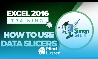 Learn How to Use Data Slicers in Microsoft Excel 2016 - Mind Luster